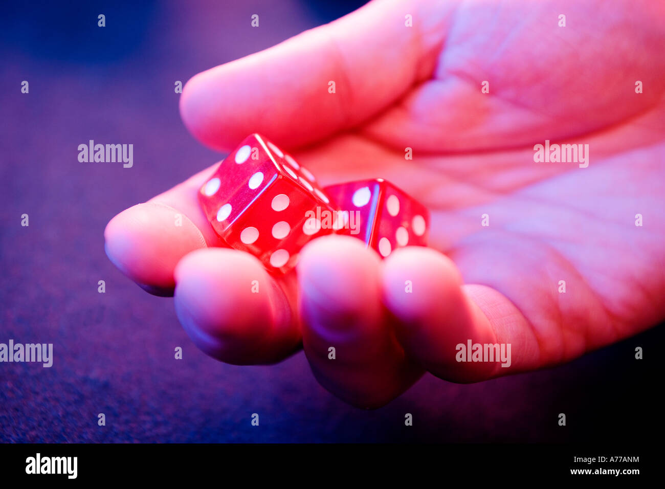 Hand holding a pair of dice Stock Photo - Alamy
