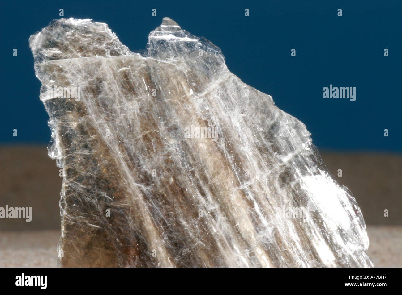 Monoklin hi-res stock photography and images - Alamy