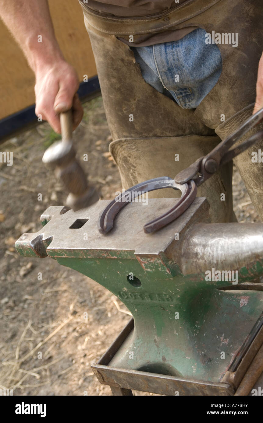 Mobile Farrier Dylan Williams working on horseshoe on anvil, Llanfarian ...