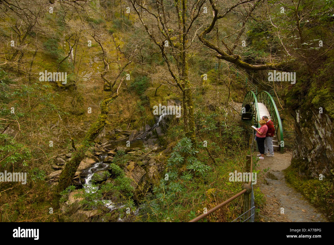 two tourists at The Mynach Falls Devil's Bridge near Aberystwyth ...