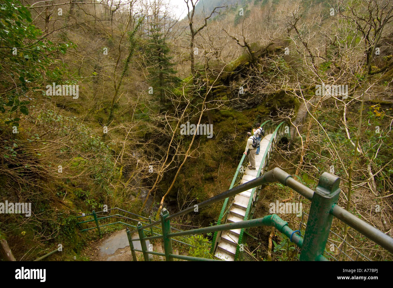 people on footbridge at The Mynach Falls Devil's Bridge near ...