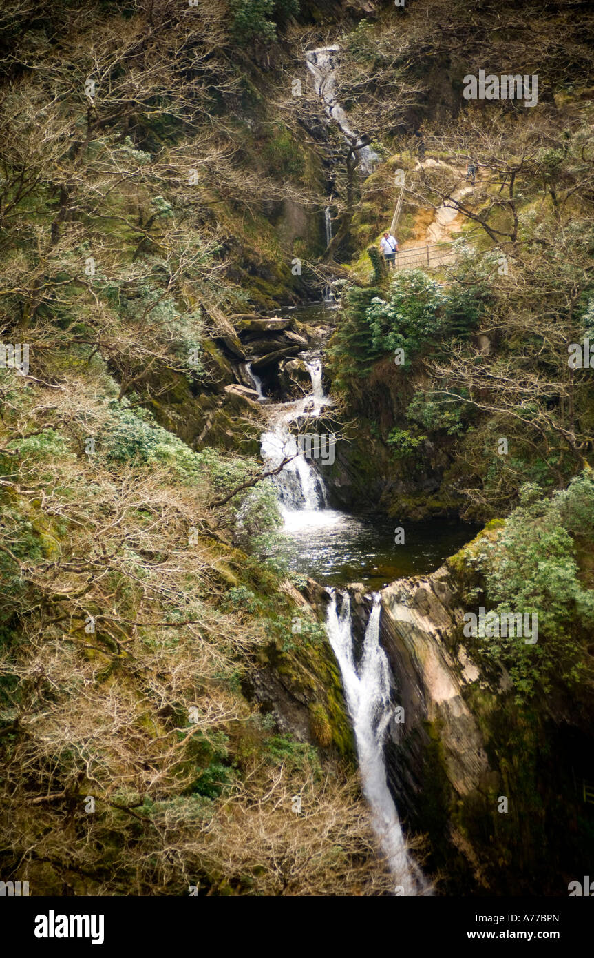The Mynach Falls Devil's Bridge near Aberystwyth Ceredigion Wales UK ...
