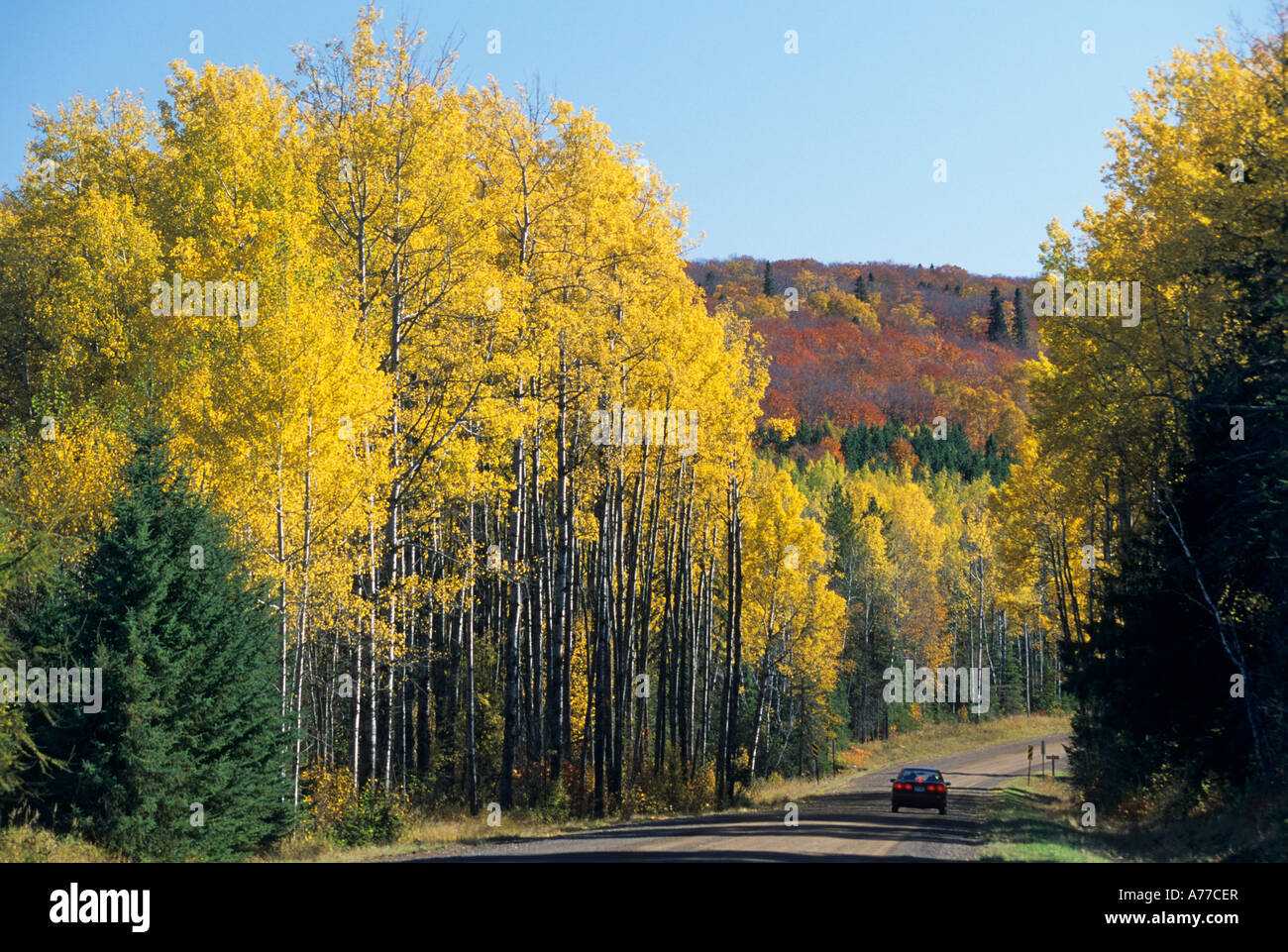 Arrowhead region hi-res stock photography and images - Alamy