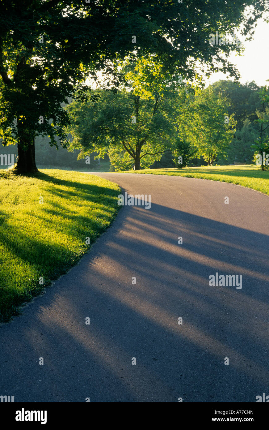ROAD THROUGH MINNESOTA LANDSCAPE ARBORETUM, CHANHASSEN, MINNESOTA ...