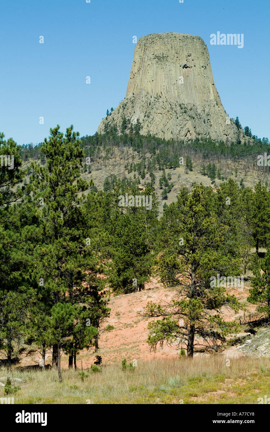 Devil's Tower National Monument, Wyoming, USA. Featured in Close ...