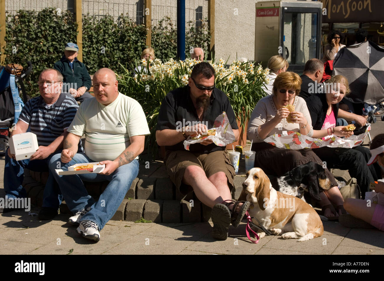 Group of overweight people sitting down and eating chips fast food in ...