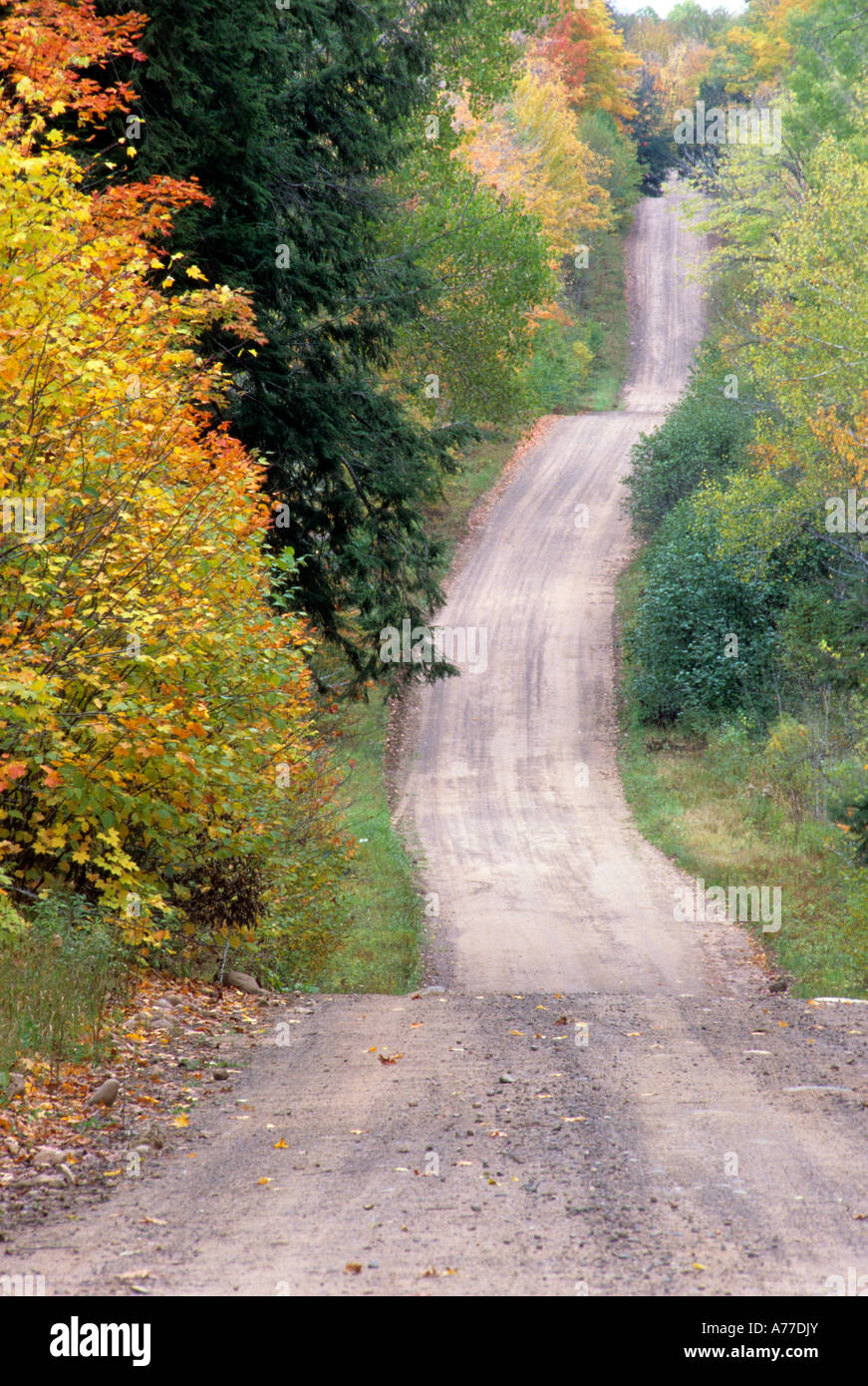 Chequamegon national forest hi-res stock photography and images - Alamy