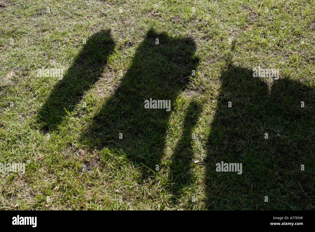 Washing line and washed clothes casting a shadow on domestic lawn Stock ...
