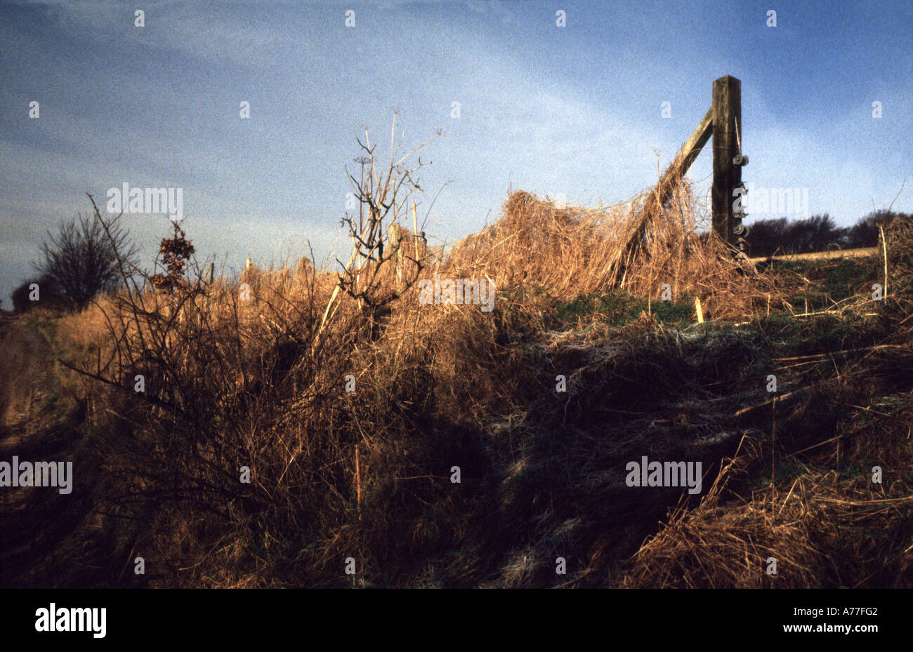 Natural embankment hi-res stock photography and images - Alamy