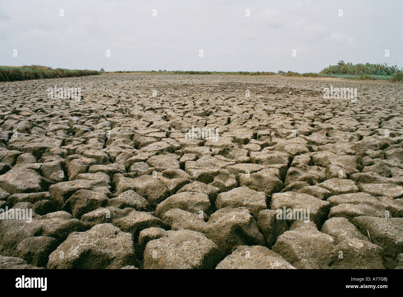 Times of drought Stock Photo - Alamy
