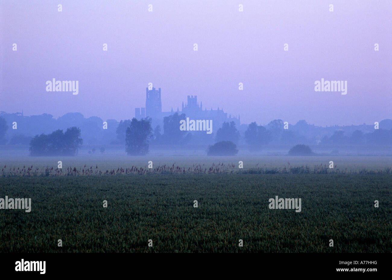 Ship Of The Fens Stock Photo - Alamy