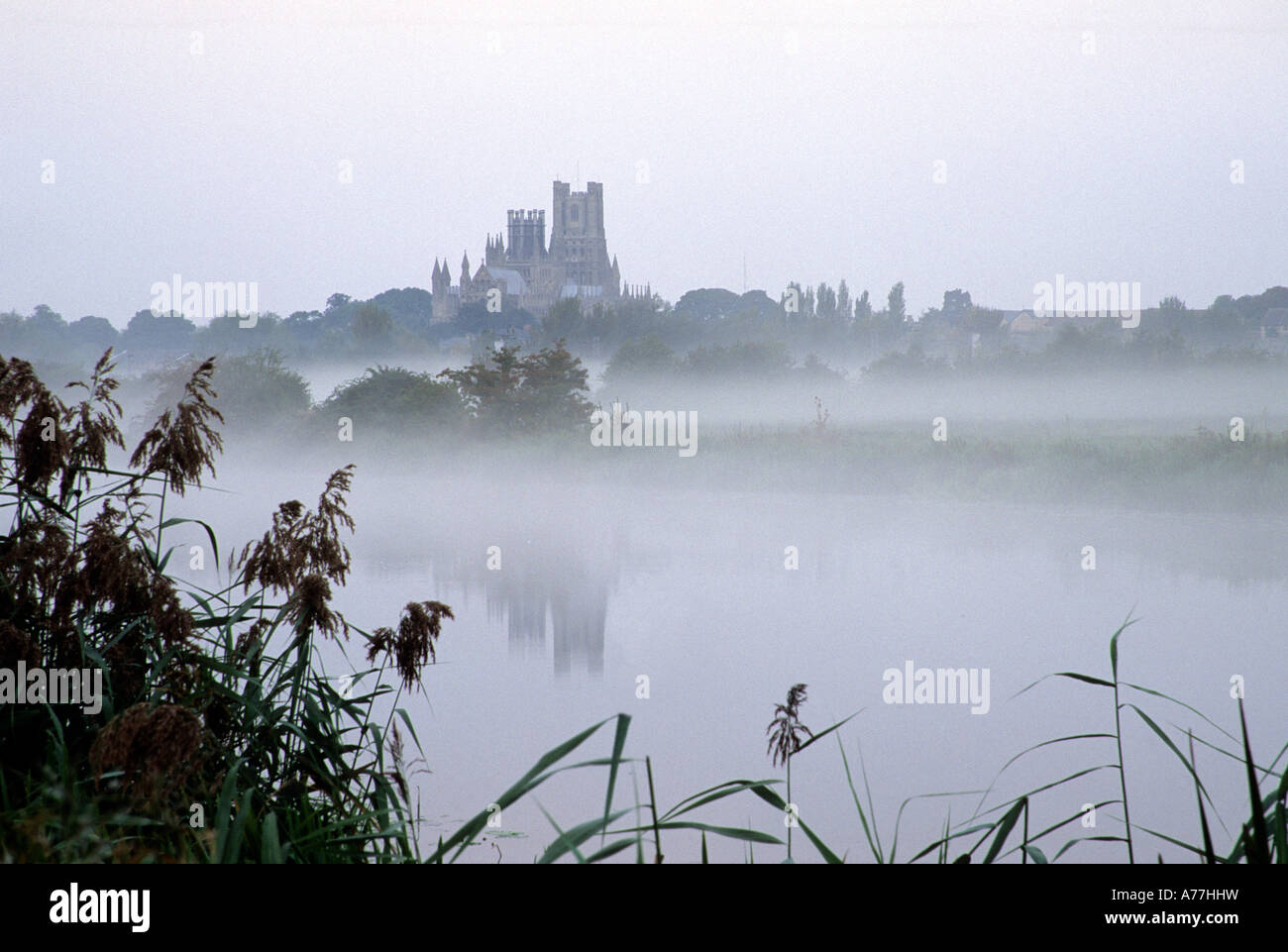 Ely cathedral mist hi-res stock photography and images - Alamy