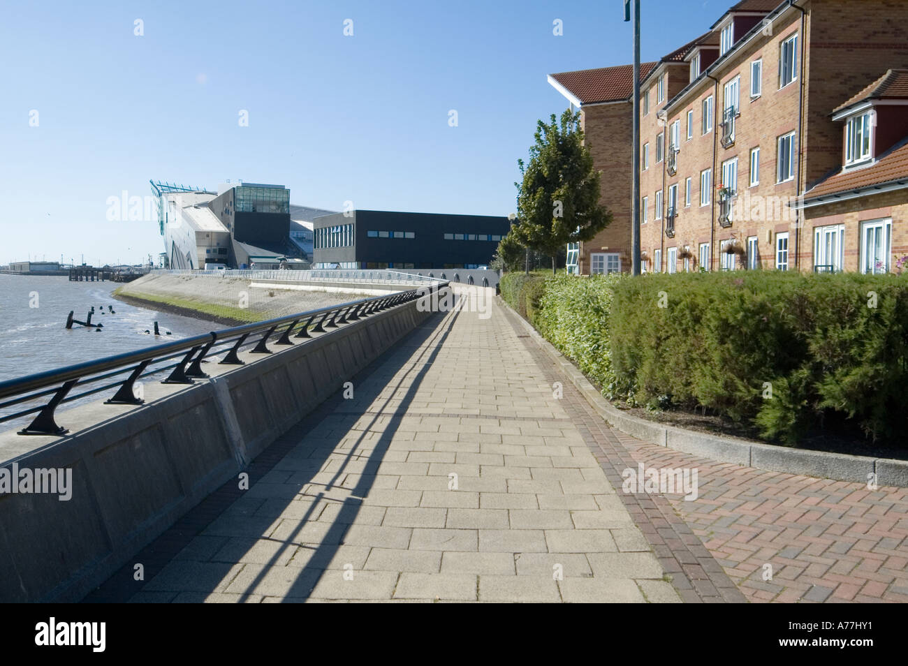 Deep aquarium in hull east hi-res stock photography and images - Alamy
