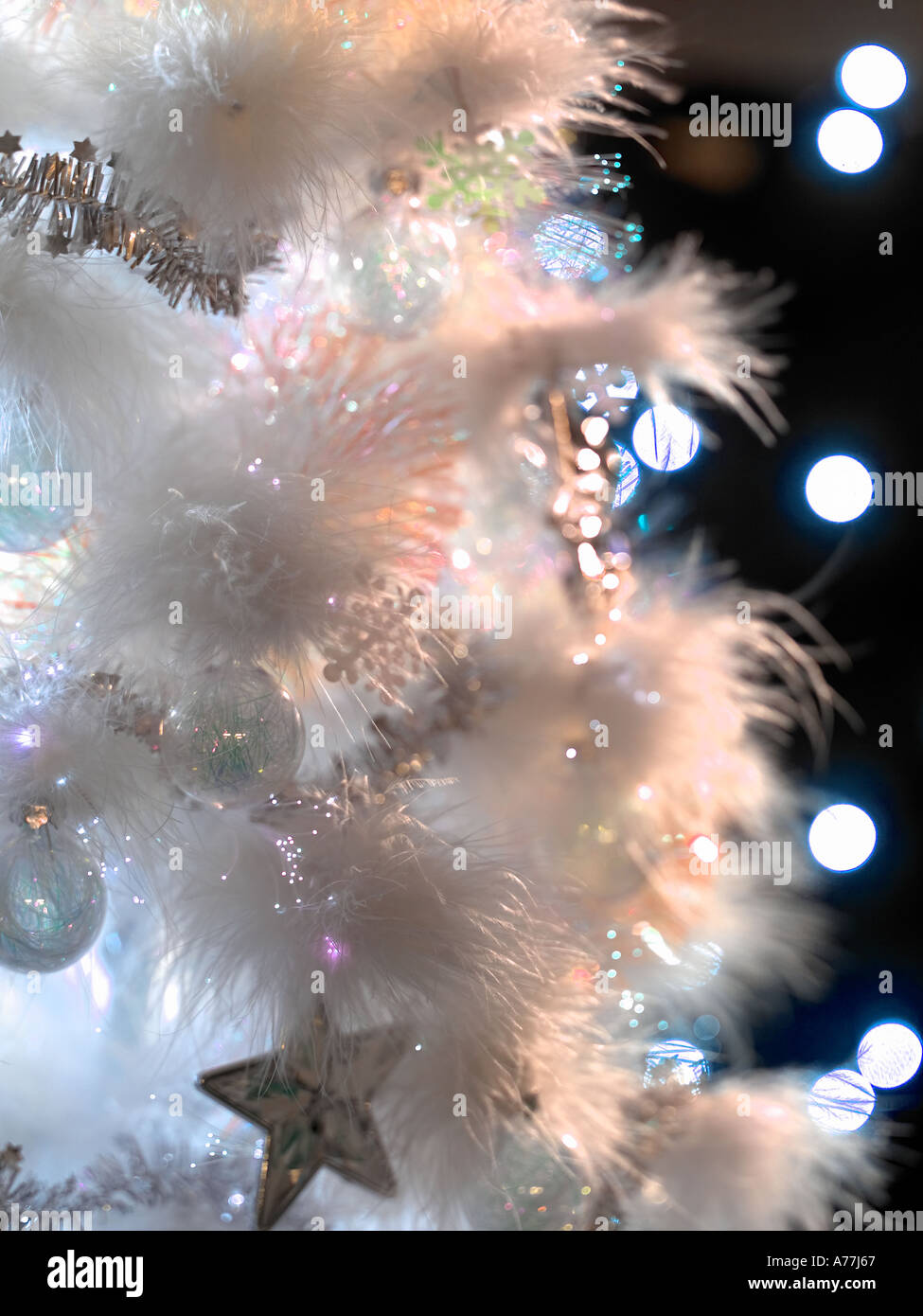 Festoon tree hi-res stock photography and images - Alamy