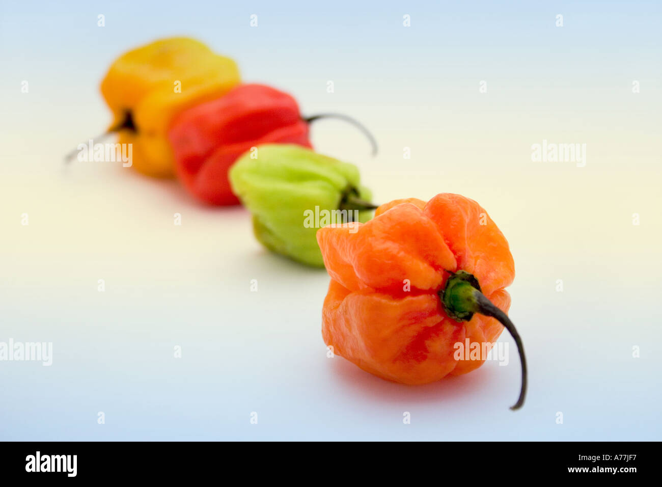 Editable peppers hi-res stock photography and images - Alamy