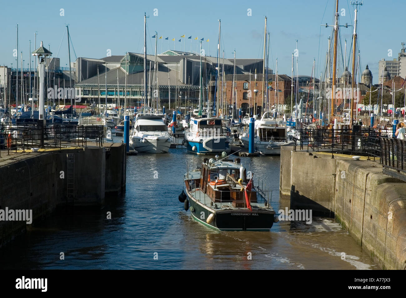 The Marina in the City of Hull, Yorkshire, England, UK Stock Photo - Alamy