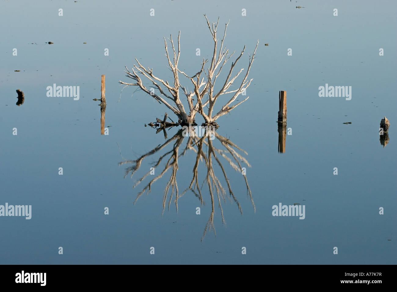 Reflection at Salton Sea Stock Photo - Alamy
