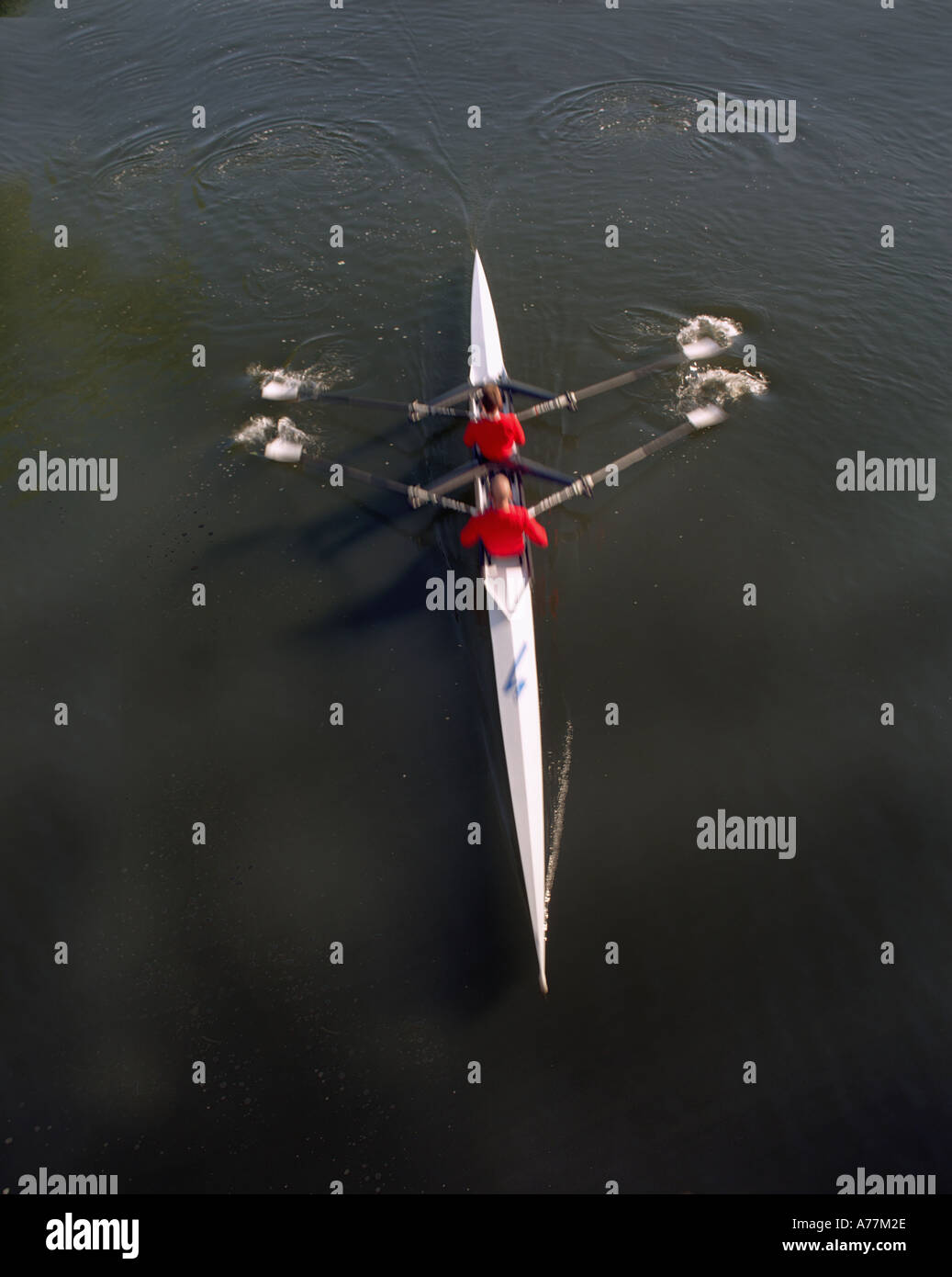 two rowers rowing or training on the river in the summer sunshine ...