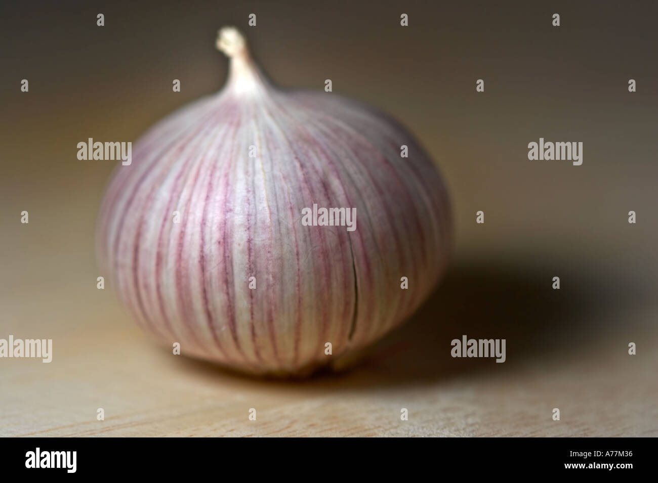 One chinese single clove garlic Stock Photo - Alamy