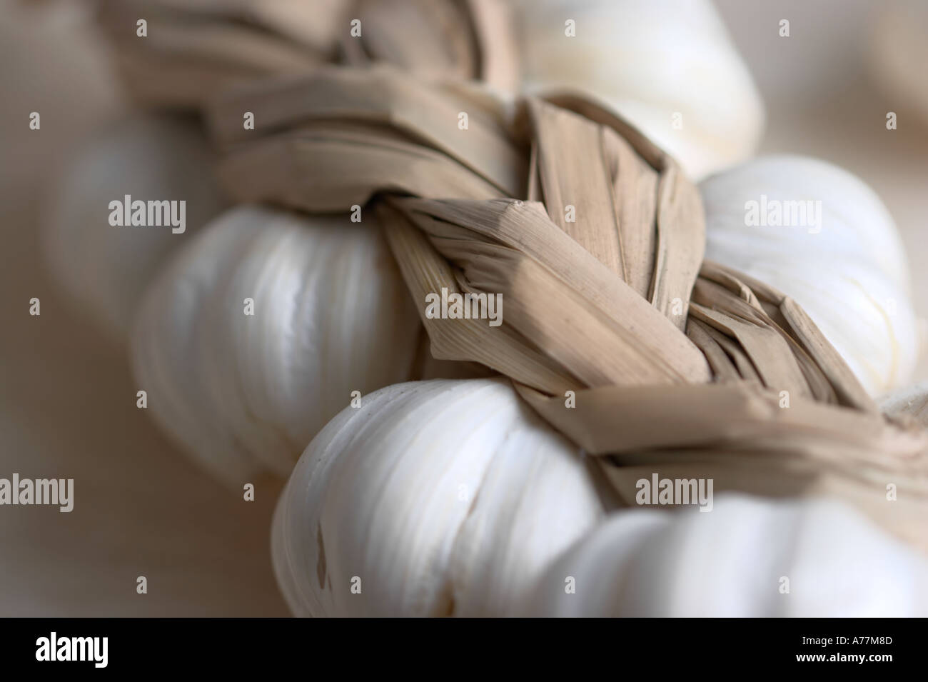 Detail of a garlic braid Stock Photo - Alamy