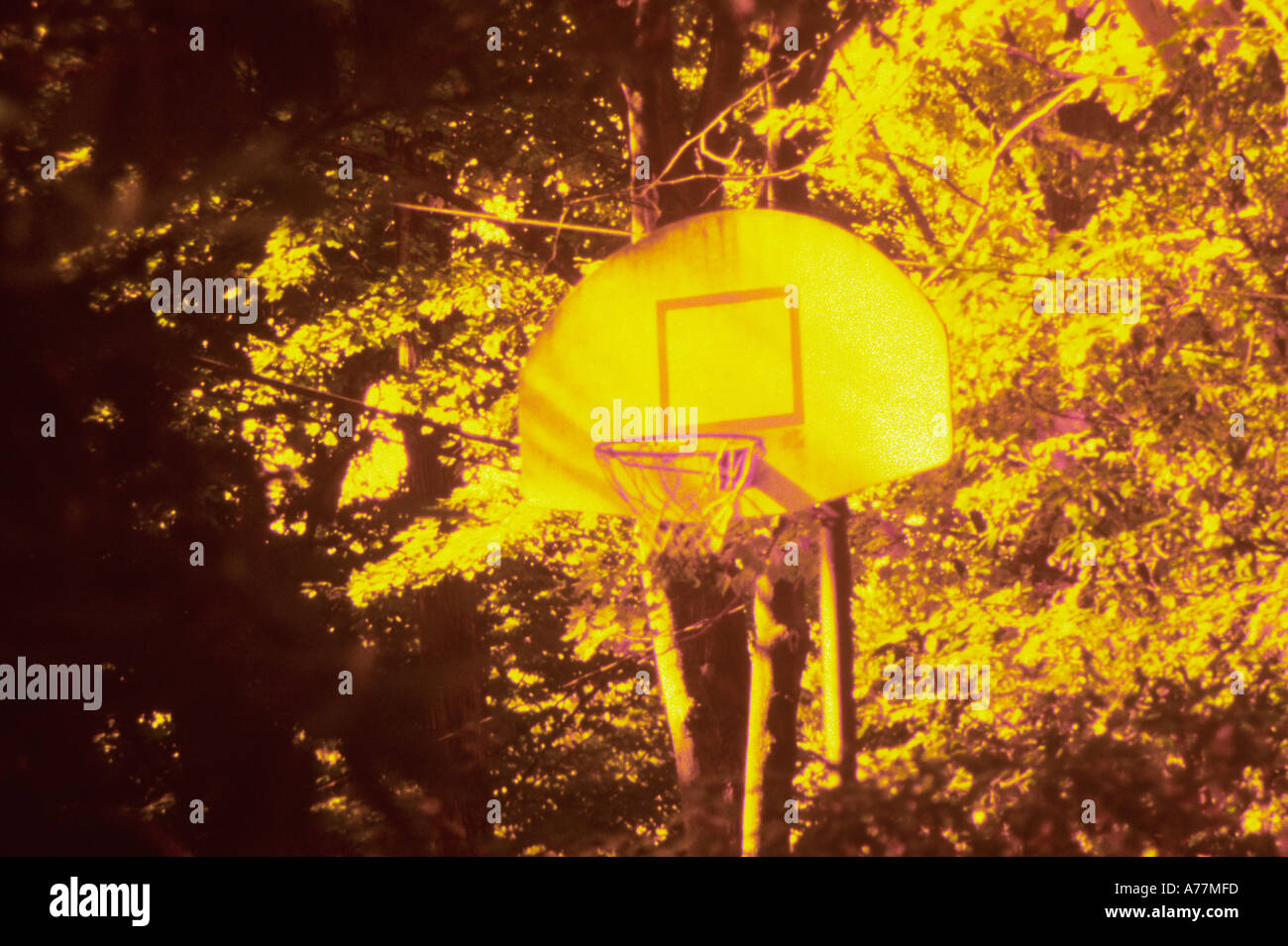 Basketball court at sunset Stock Photo - Alamy