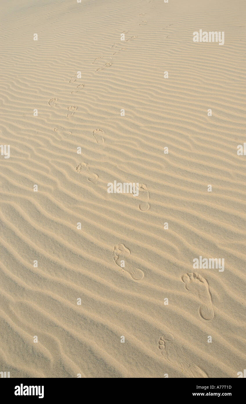 Beige and tan desert sand hi-res stock photography and images - Alamy