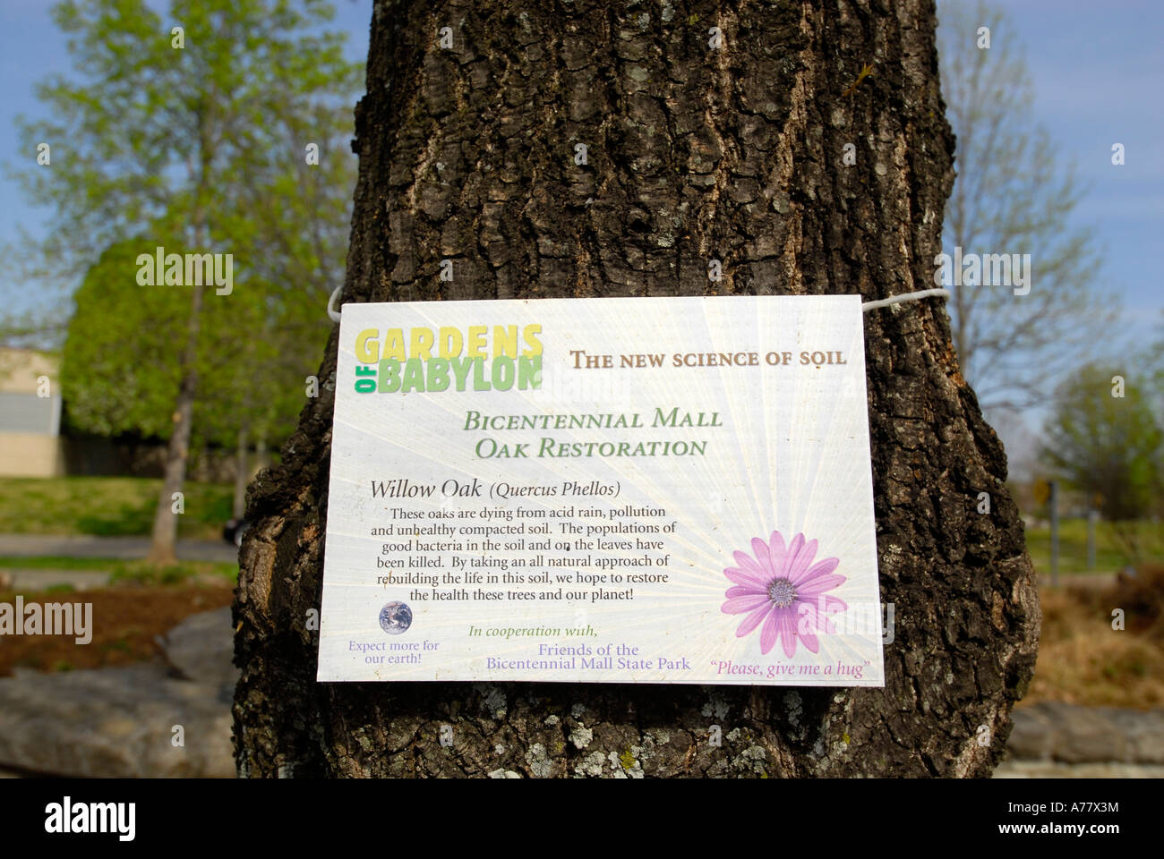 Oak Tree Restoration Project in Tennessee Bicentennial Capitol Mall ...