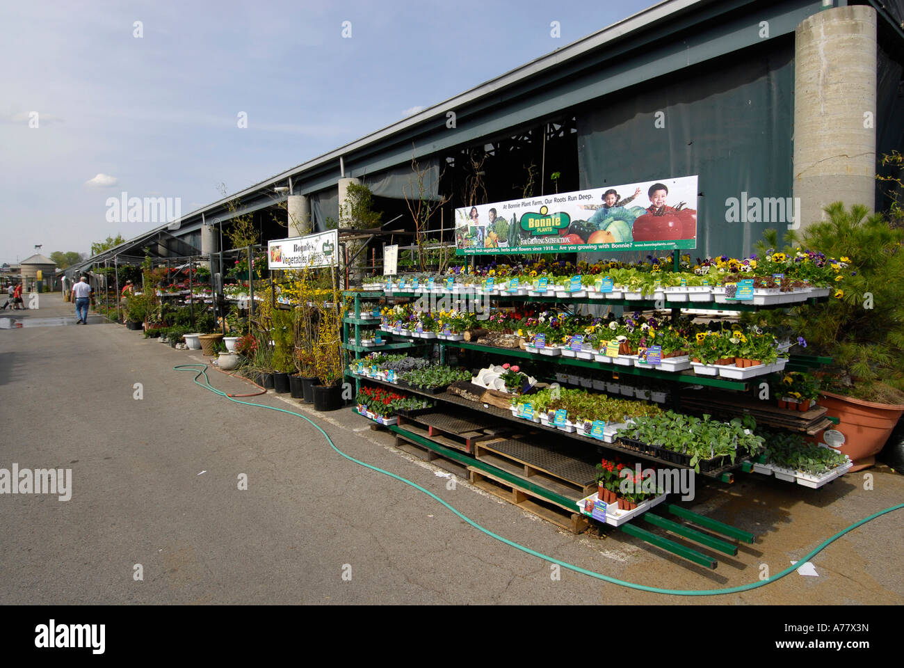 State Farmer s Farmers Market Downtown Nashville Tennessee TN Tenn US ...