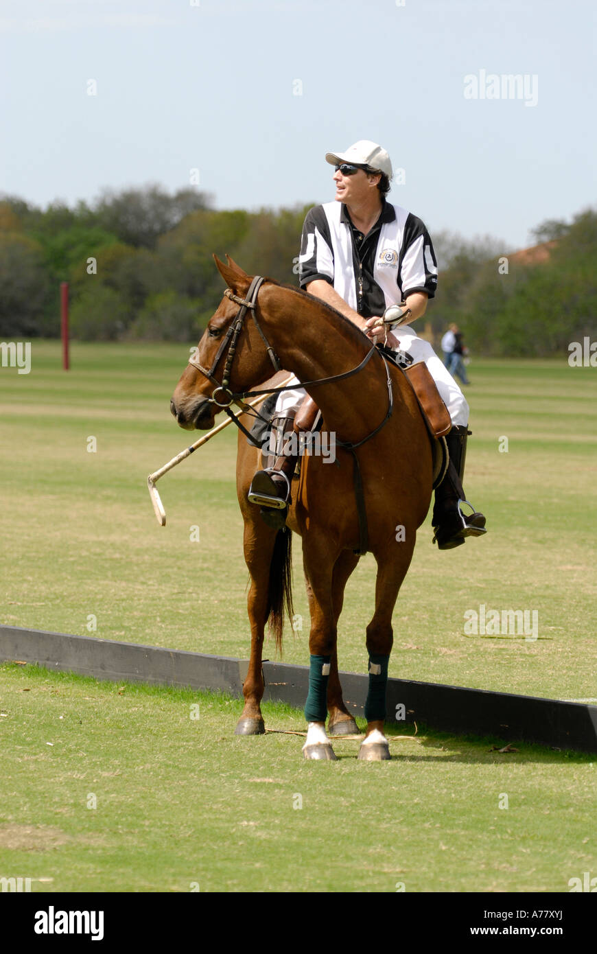 Referee at a Polo match Sarasota Florida FL Stock Photo - Alamy