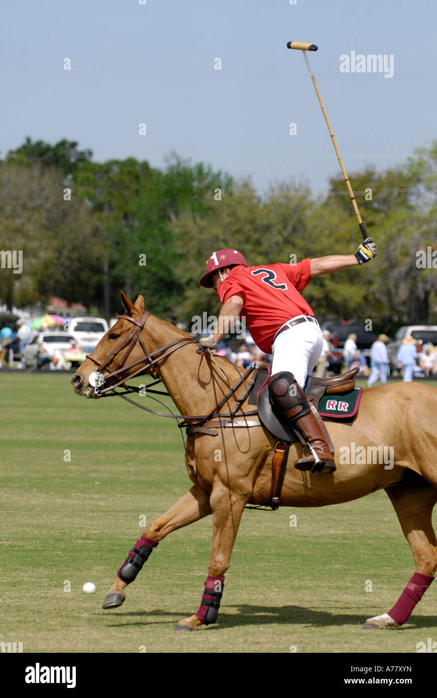 Polo match Sarasota Florida FL Stock Photo - Alamy