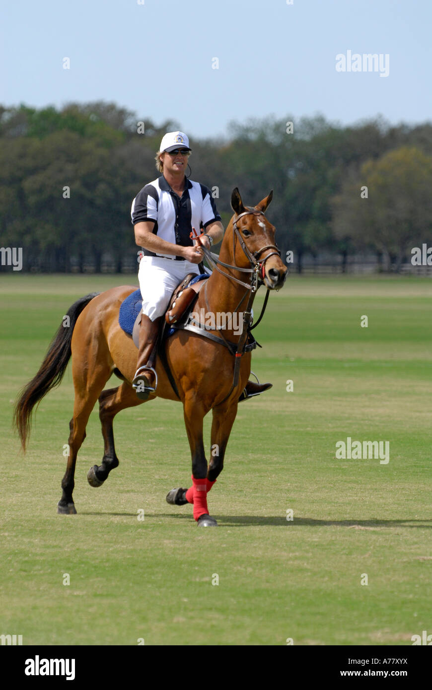 Referee at a Polo match Sarasota Florida FL Stock Photo - Alamy