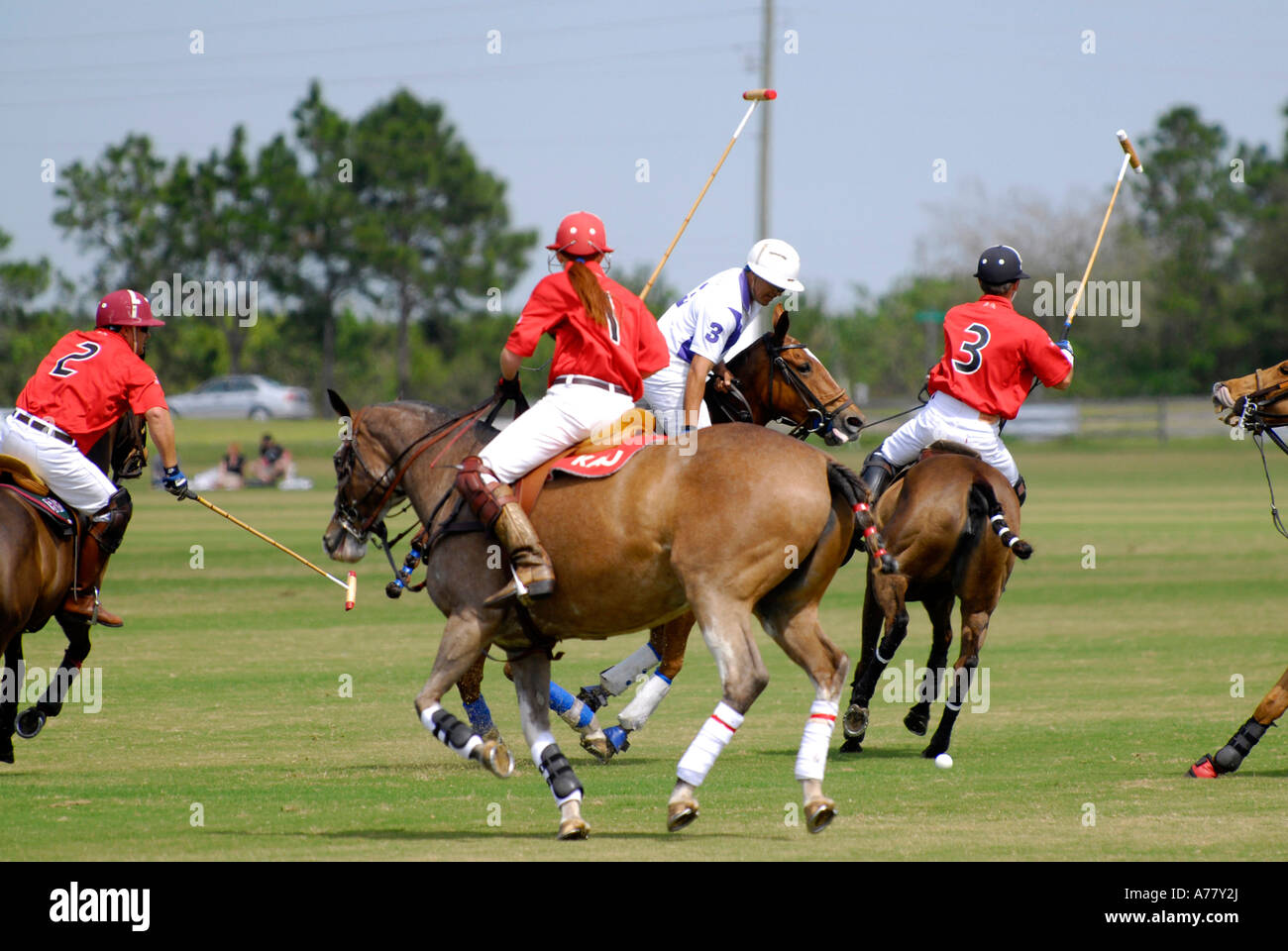 Polo match Sarasota Florida FL Stock Photo - Alamy