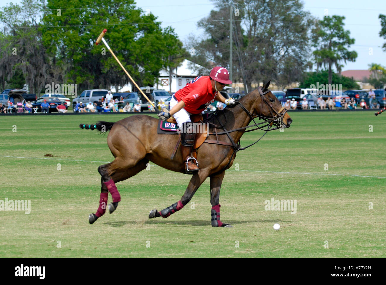 Polo match Sarasota Florida FL Stock Photo - Alamy