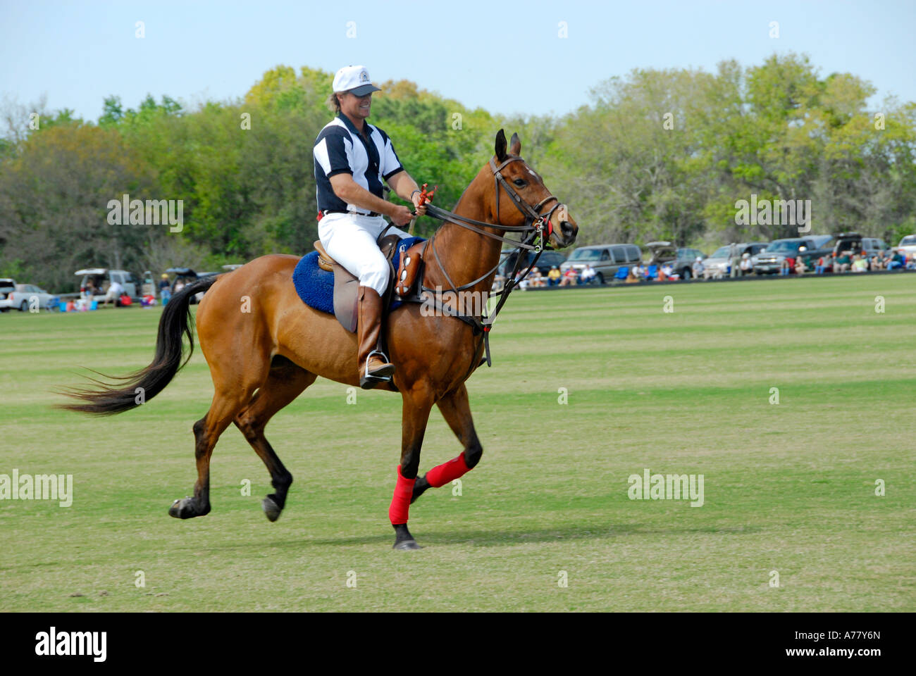 Referee at a Polo match Sarasota Florida FL Stock Photo - Alamy