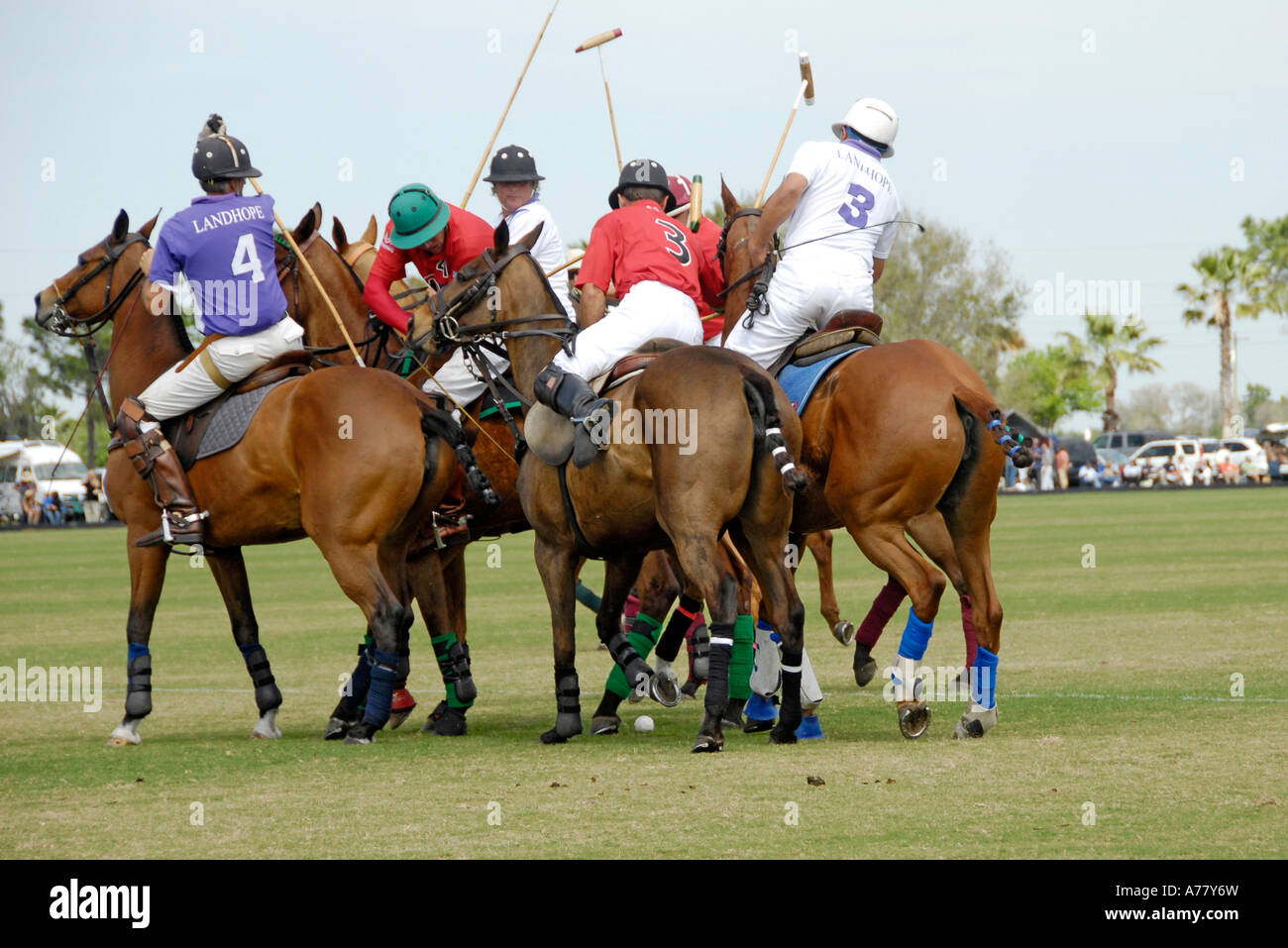 Polo match Sarasota Florida FL Stock Photo - Alamy