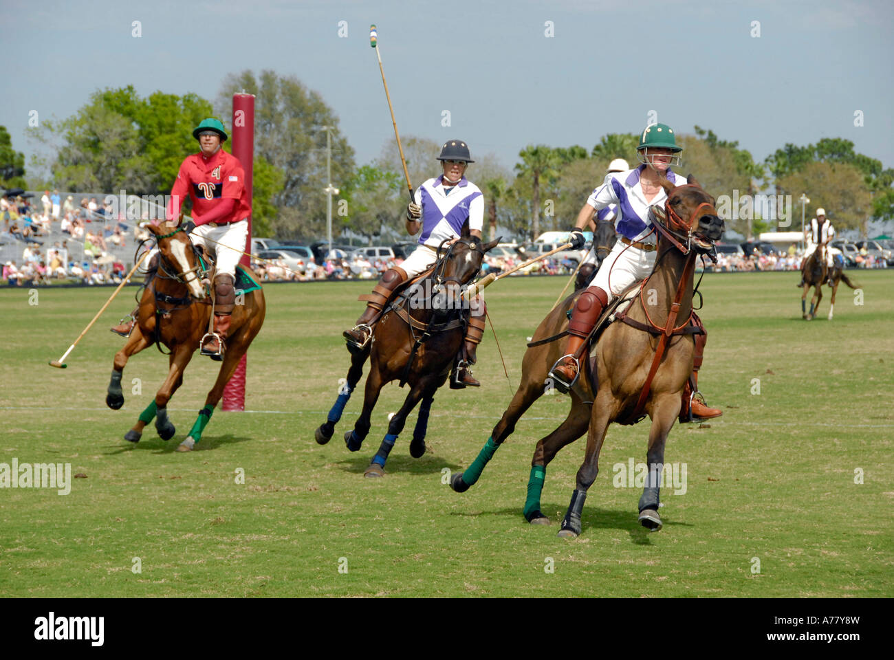 Polo match florida hi-res stock photography and images - Alamy