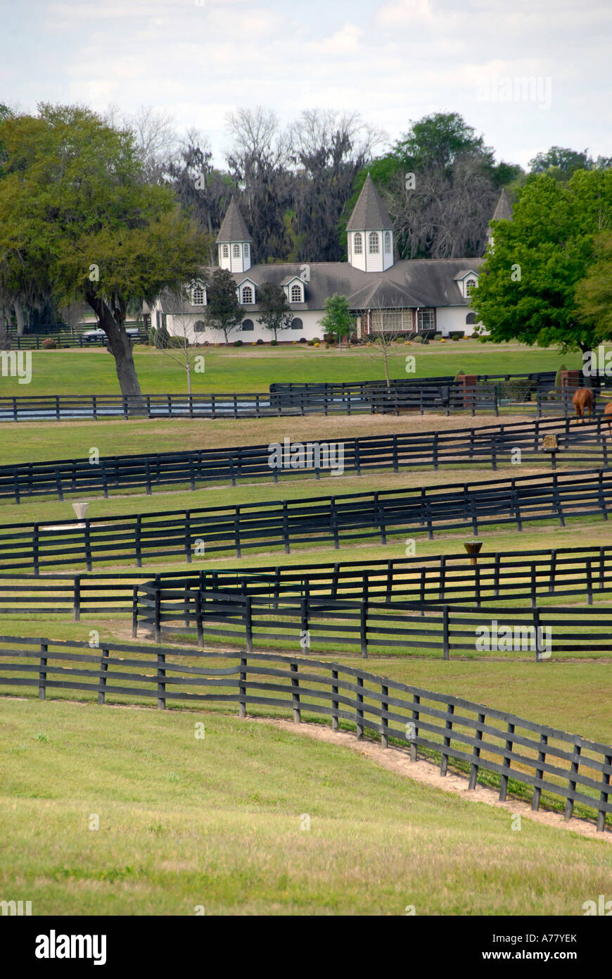Horse farms in Ocala Florida FL Stock Photo - Alamy