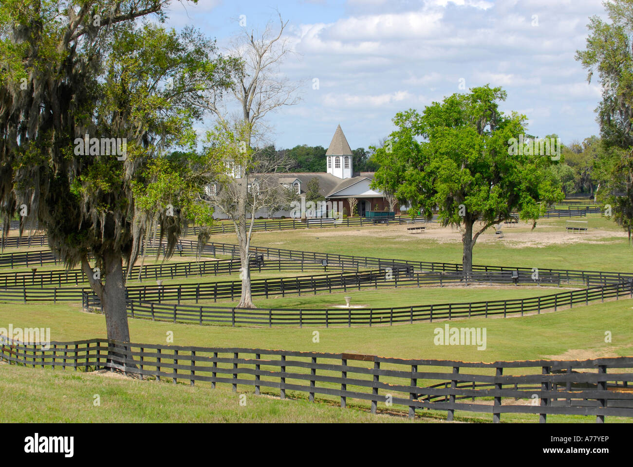 Horse farm in ocala fl hi-res stock photography and images - Alamy