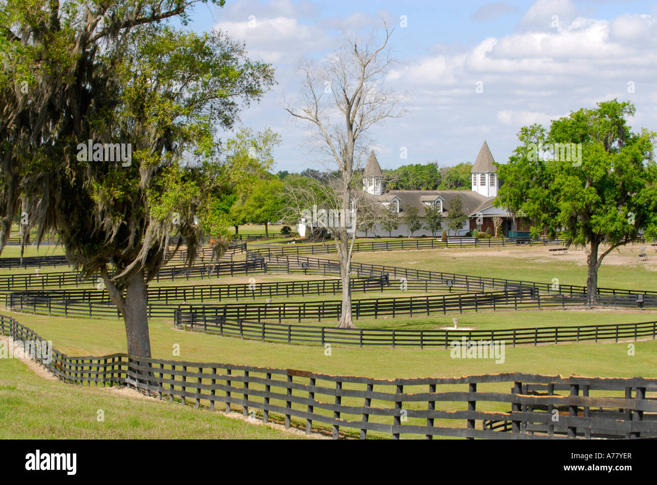 Horse farms in Ocala Florida FL Stock Photo - Alamy