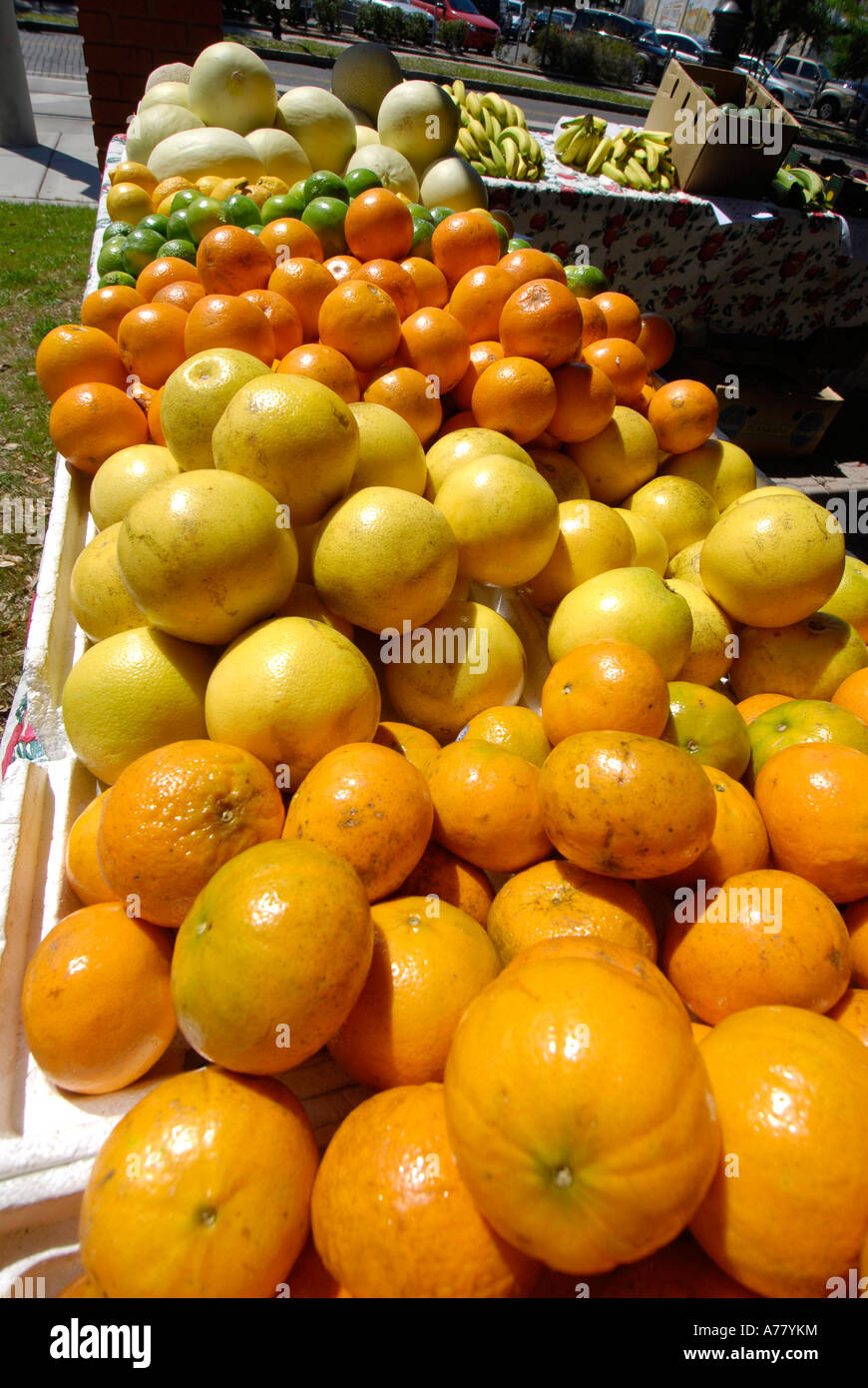 A variety of citrus fruits are for sale in an open air farmer market in ...