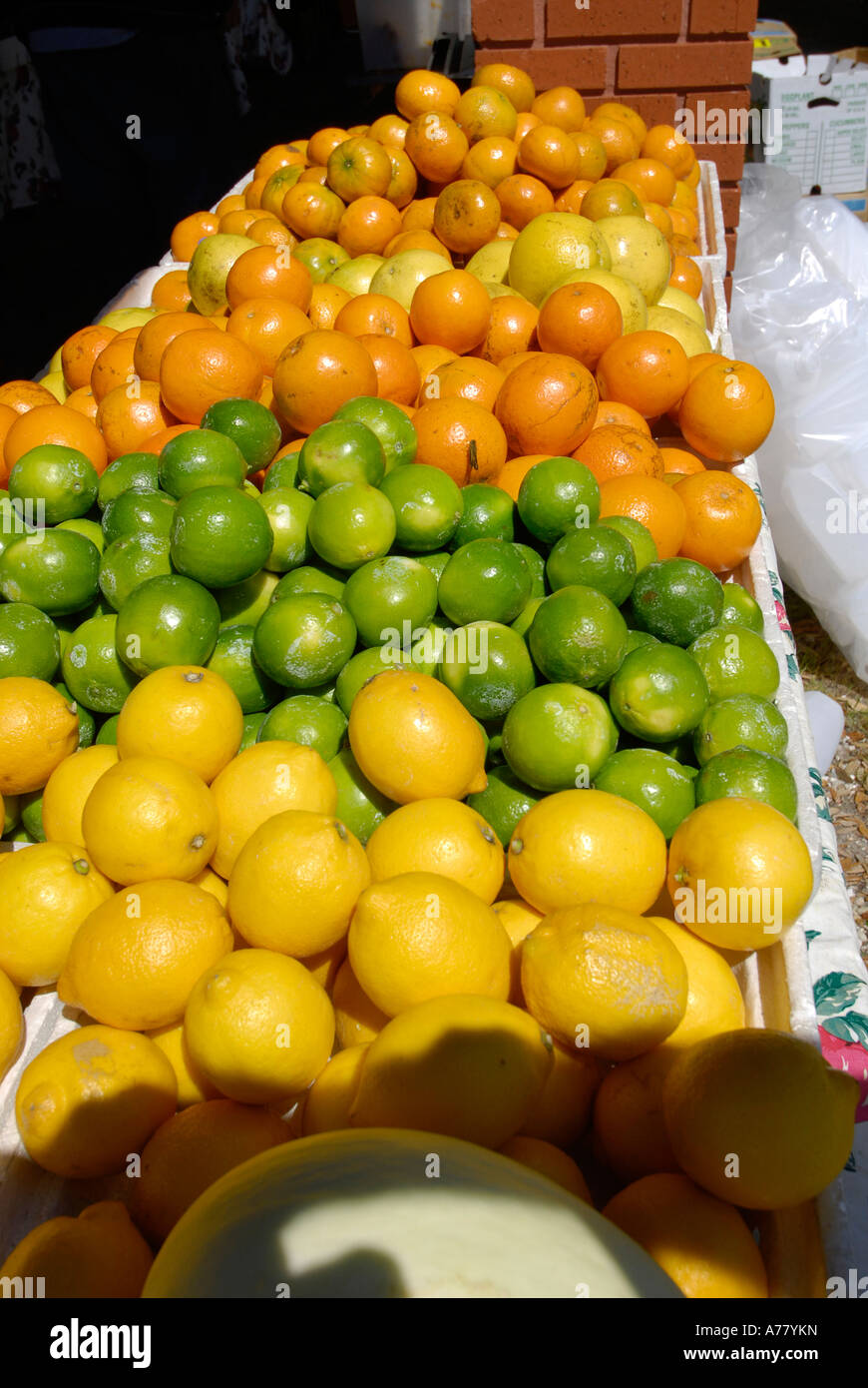 Florida lemon farmer hi-res stock photography and images - Alamy