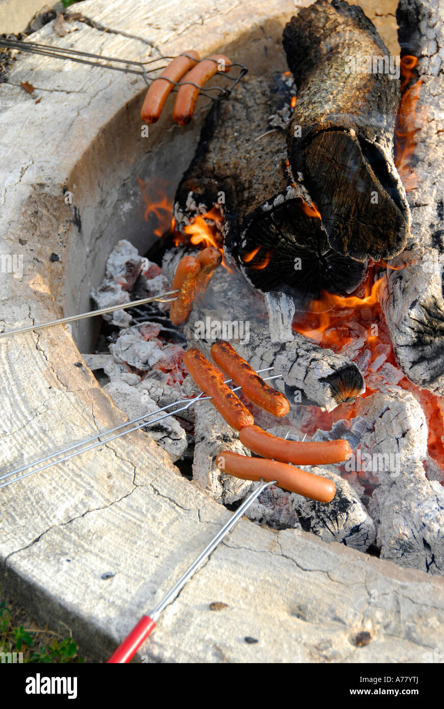 Roasting hot dogs over an open fire Stock Photo - Alamy