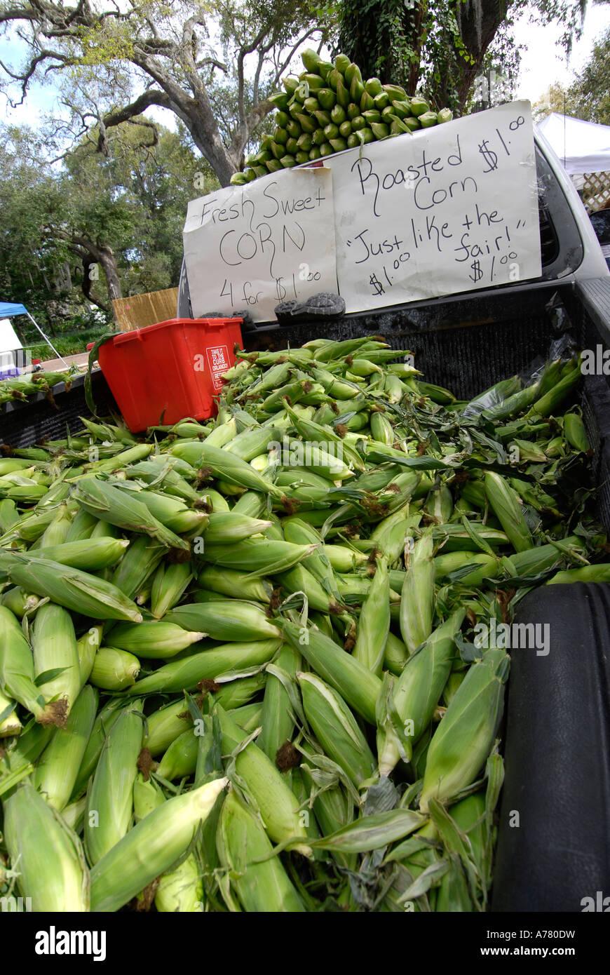 Corn Stand at Sunday Market Eola Park Downtown Orlando Florida US Stock ...
