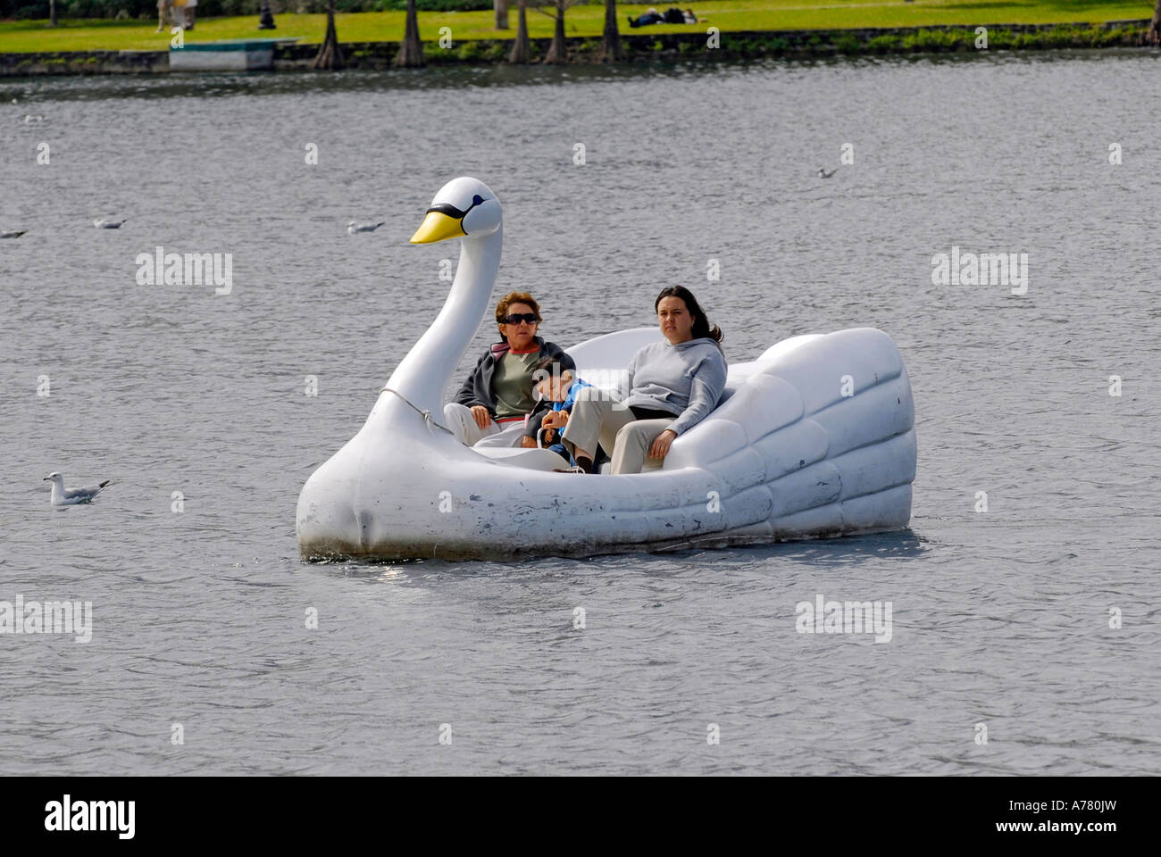 Paddle Boat Ducks on Eola Lake Orlando Florida Stock Photo - Alamy