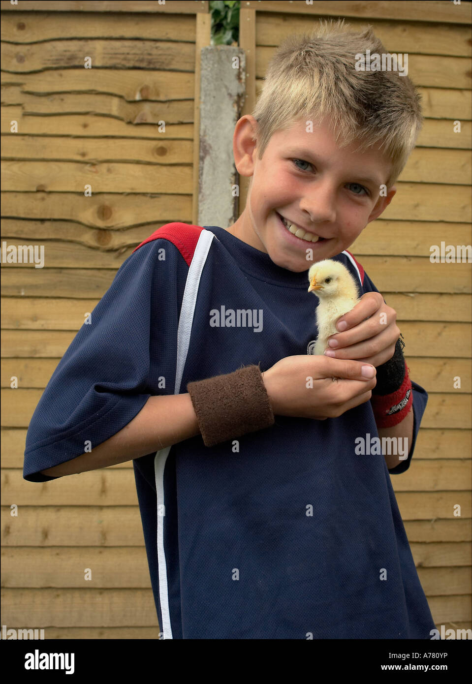 Young boy holding pet chick Stock Photo - Alamy