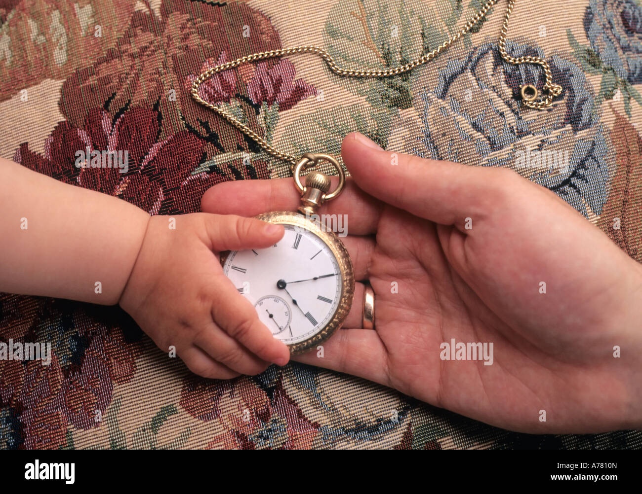Inheritance Family Stock Photos & Inheritance Family Stock Images - Alamy