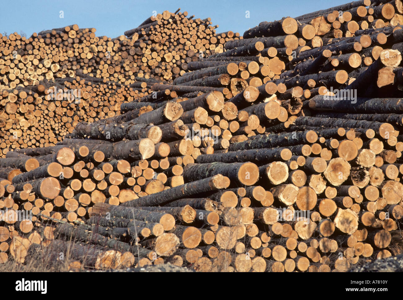 Sciences resources hi-res stock photography and images - Alamy