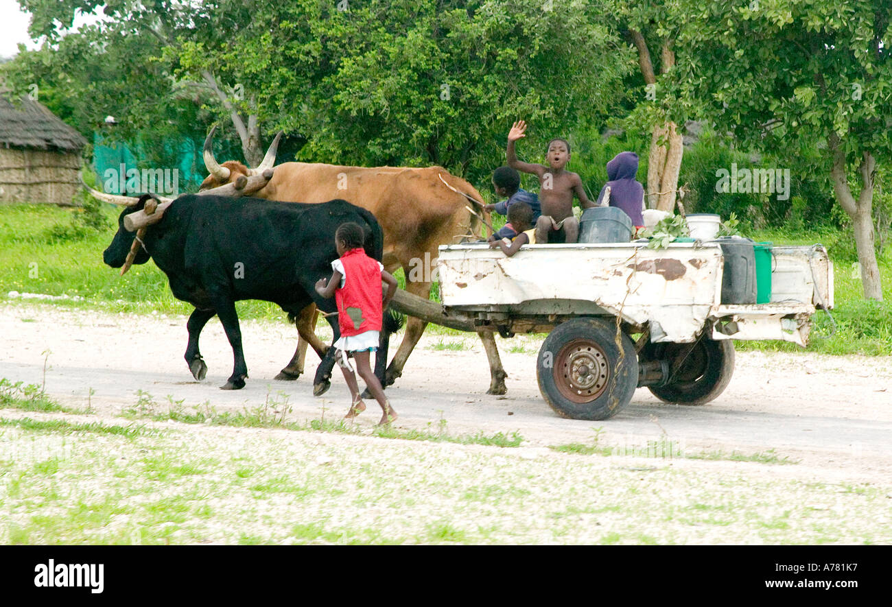 Transport and Farming in Namibia Stock Photo - Alamy