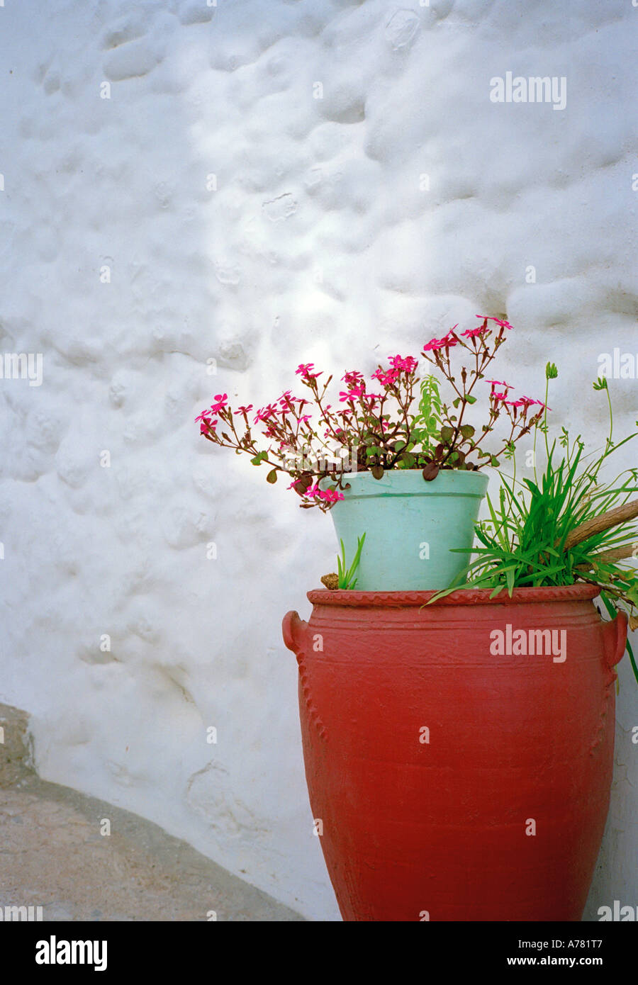 A pot of straggly flowers in a hill village of Andalusia, Spain Stock ...