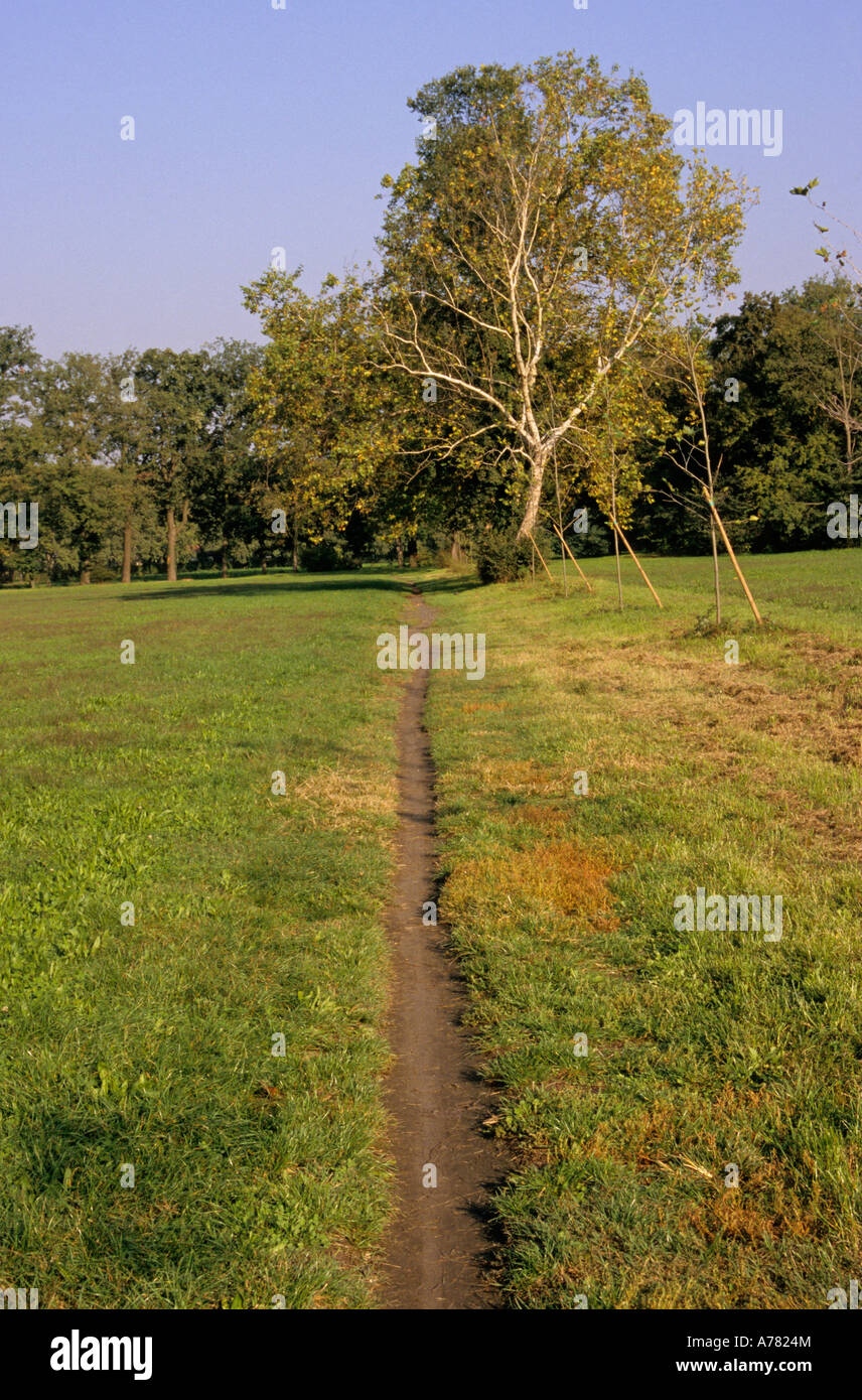 The straight and narrow path hi-res stock photography and images - Alamy